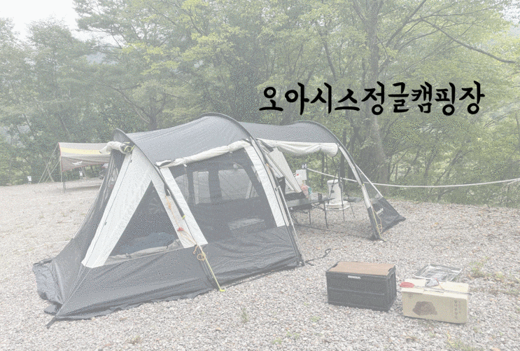 애견동반가능 인제 오아시스정글 캠핑장 네이버 블로그