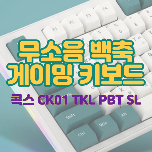 콕스 저소음백축 기계식 게이밍 키보드 내돈내산 리뷰(CK01 TKL PBT SL) : 네이버 블로그