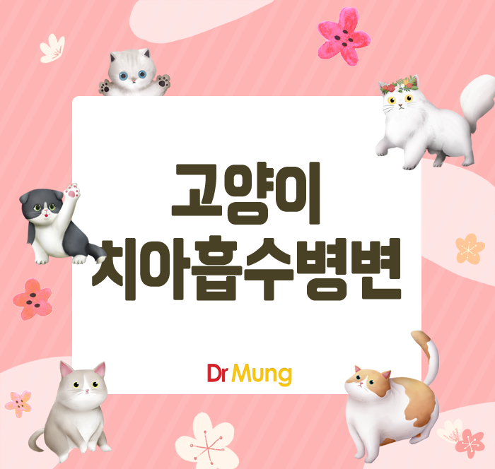 고양이 치아흡수성 질환(FORL) 고양이 치과병원 : 네이버 블로그
