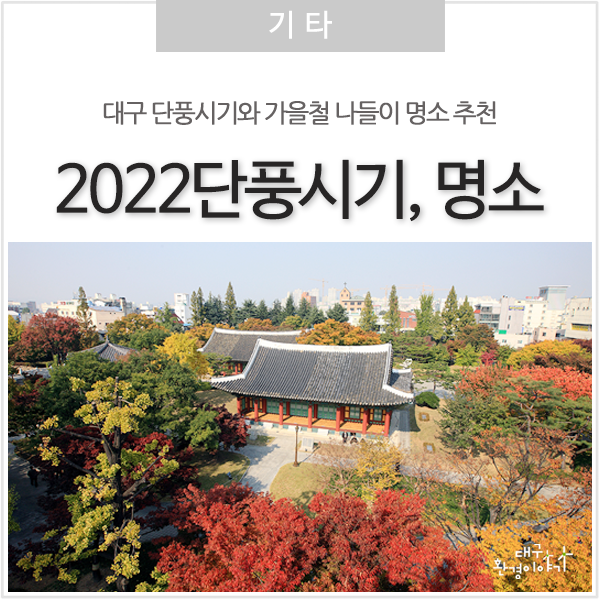 대구 가볼만한 곳 추천 2022년 단풍 절정시기와 가을철 나들이 명소 팔공산 경상감영공원 대구미술관 대구스타디움