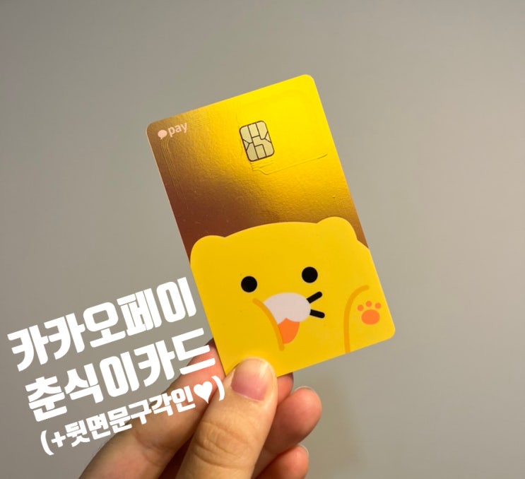 카카오페이 카드 갱신 : 춘식 & 라이언 / 혜택, 카드등록 : 네이버 블로그