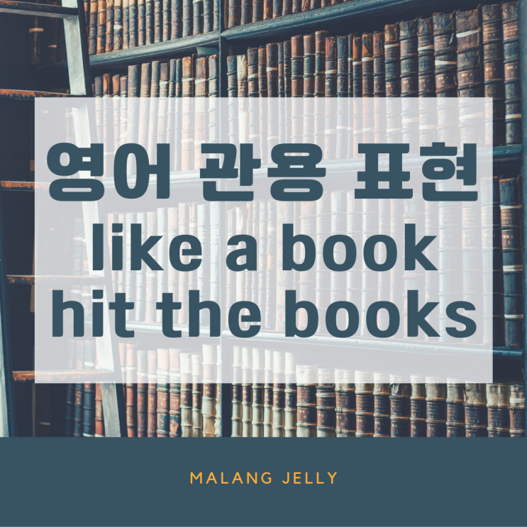 책 관련 영어 관용표현 hit the books / like a book : 네이버 블로그