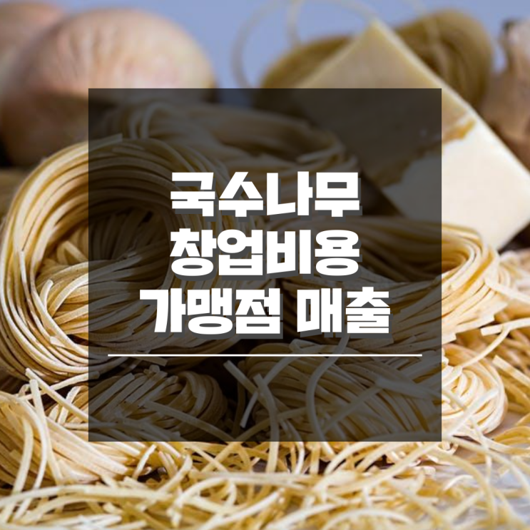 국수나무 창업비용 및 매출을 정보공개 기반으로 알아보자 Ft 개인사업 네이버 블로그