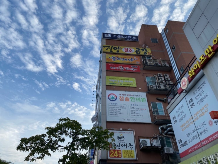 대전 진양곱창 관평동 먹자골목 맛집 초벌구이한 한우곱창 추천 네이버 블로그