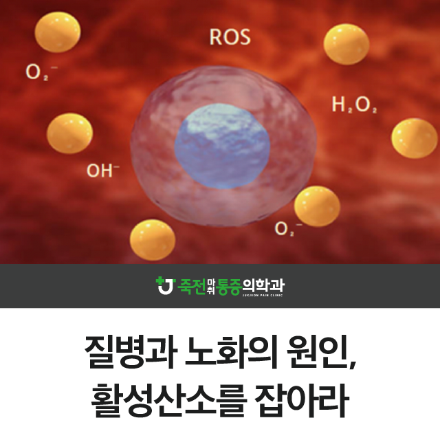 질병과 노화의 원인 활성산소를 잡아라 네이버 블로그