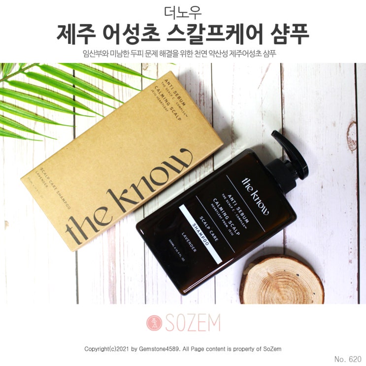 두피케어 더노우 제주 어성초 스칼프케어 샴푸 네이버 블로그