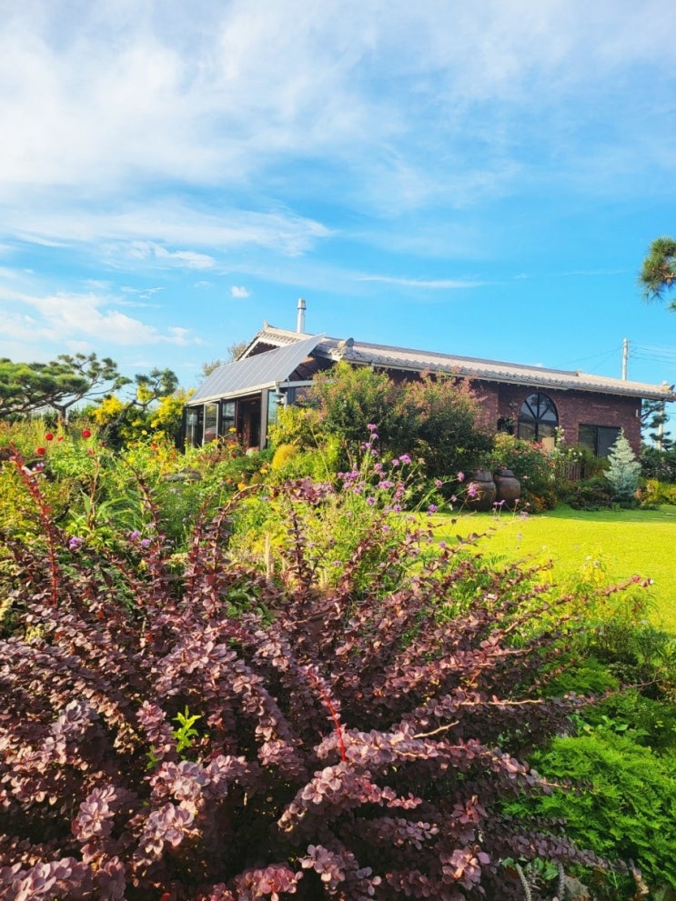 [경기 안성]아기자기 예쁜 정원 향긋한 차와 함께 하는 안성팜랜드 근처 안성카페 유유차적 : 네이버 블로그