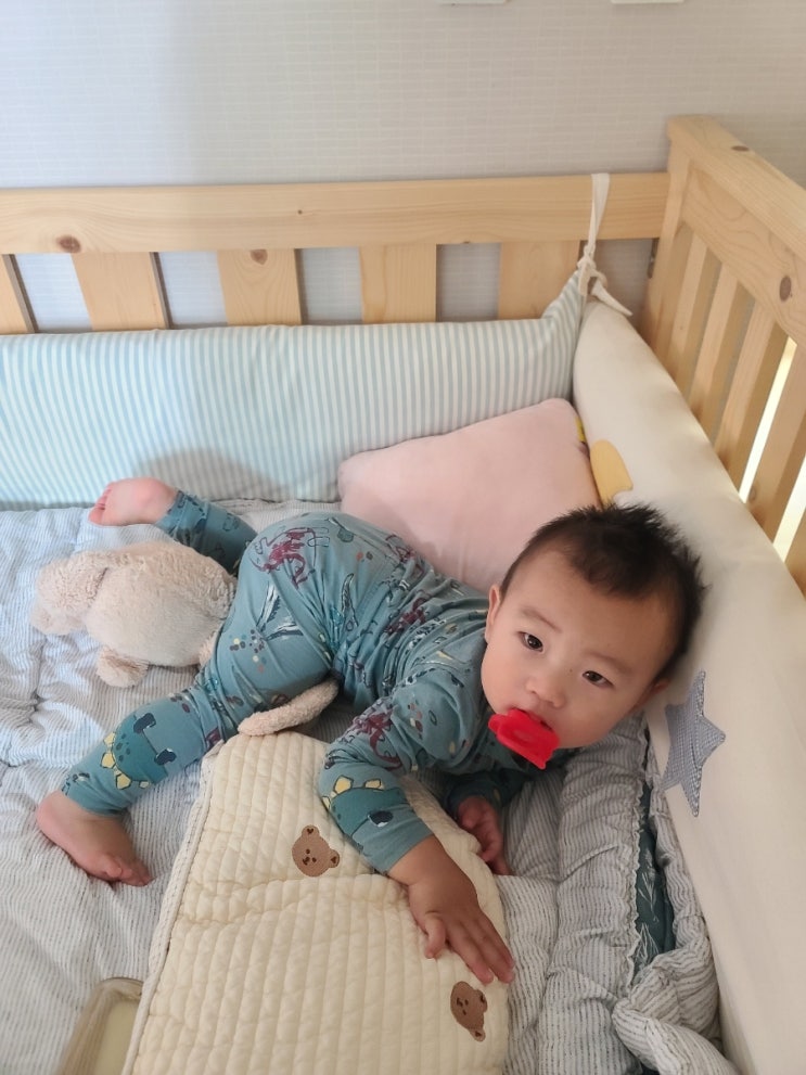 범수 아빠 육아일기 생일 준비 12개월 381~383일 주간일기 16주 차 네이버 블로그