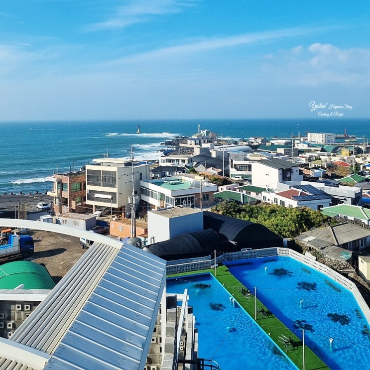 제주바다체험 레드서브마린 제주도 횟집 핫플레이스 네이버 블로그