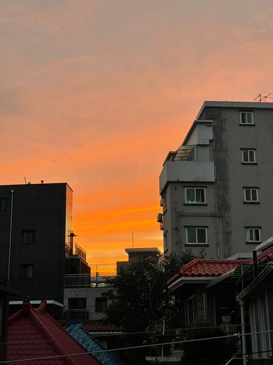 16 : 네이버 블로그 16 : 네이버 블로그