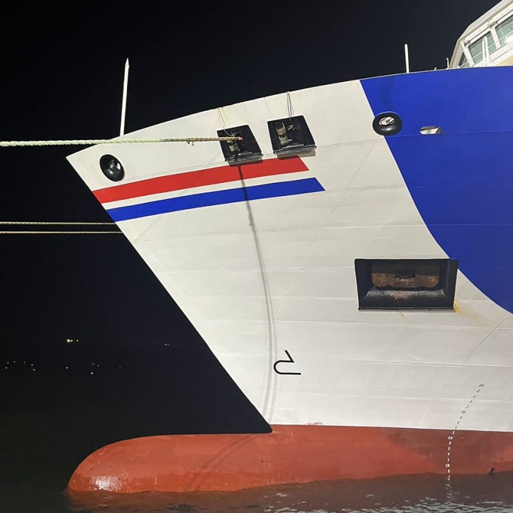 울릉도배편 뉴시다오펄호포항영일만항 울릉도 사동항 차량선적 꿀팁 장단점 후기 네이버 블로그