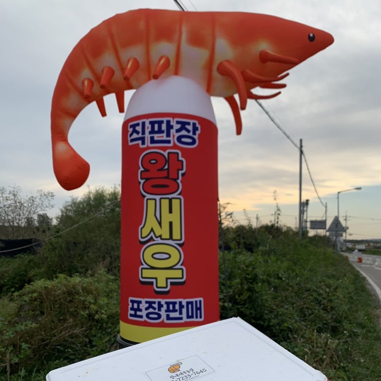 평택 대하 양식장 새우직판장 대하 왕새우 포장 ‘창내새우농장 네이버 블로그