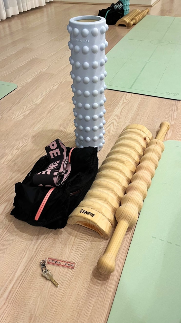 SNPE 2개월차 후기 (+3개월차 눈바디) : 네이버 블로그