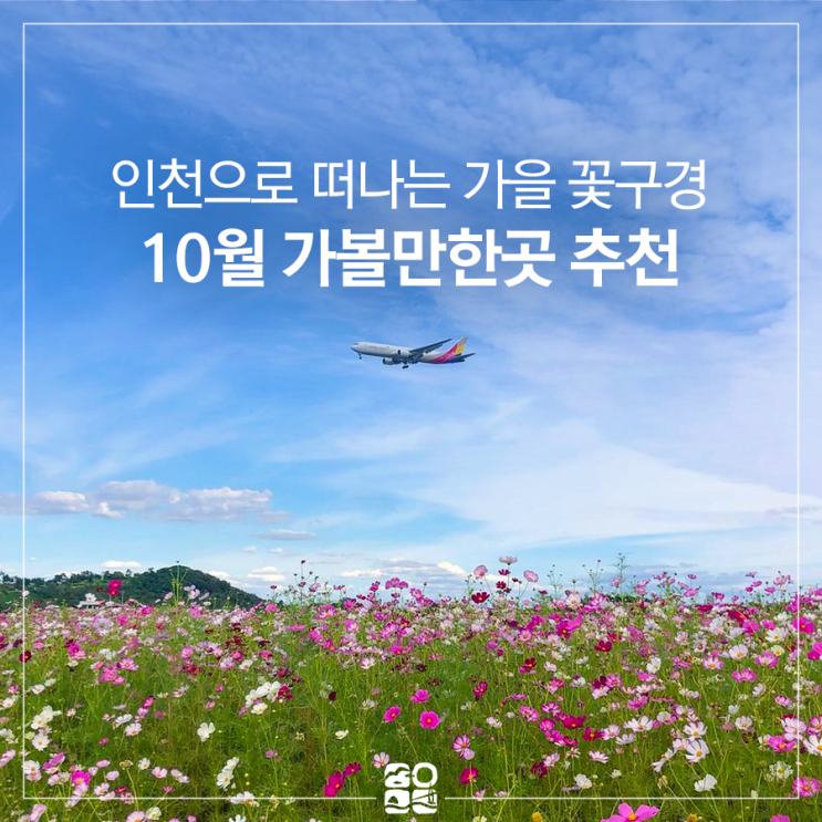 인천 10월 가볼만한곳 ㅣ 코스모스 등 가을꽃 구경 하기 좋은 인천 여행지 추천 드림파크 하늘정원 외 2곳 네이버 블로그