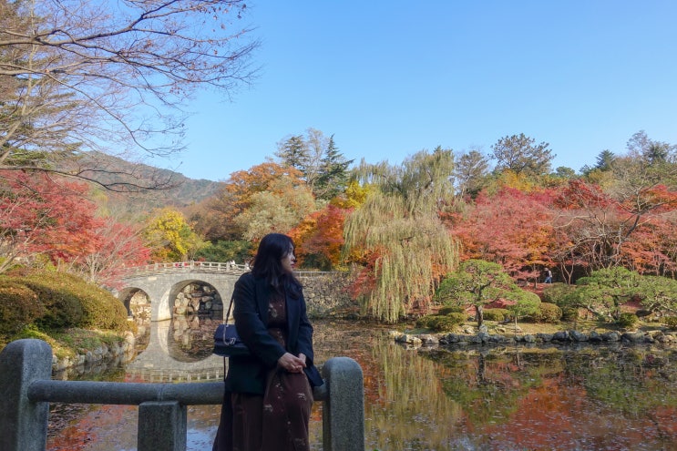 경주여행 가볼 만한 곳 불국사 가을 단풍 명소 추천 네이버 블로그