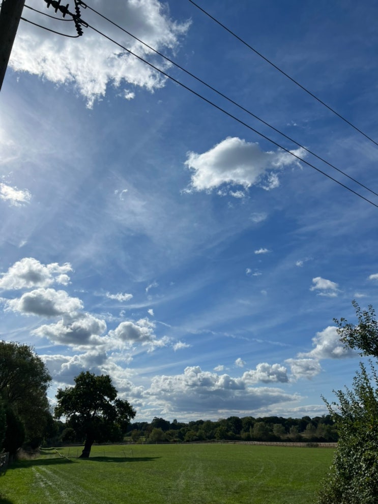 [영국워홀 D + 35]아마존 최종 면접 탈락 / London Kennington 주민 / 새 직장 첫출근 / NI 넘버 수령 ...