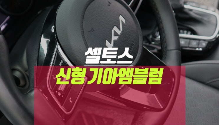 셀토스 신형 엠블럼 Kia 마크 교체 기아 자동차 튜닝 네이버 블로그