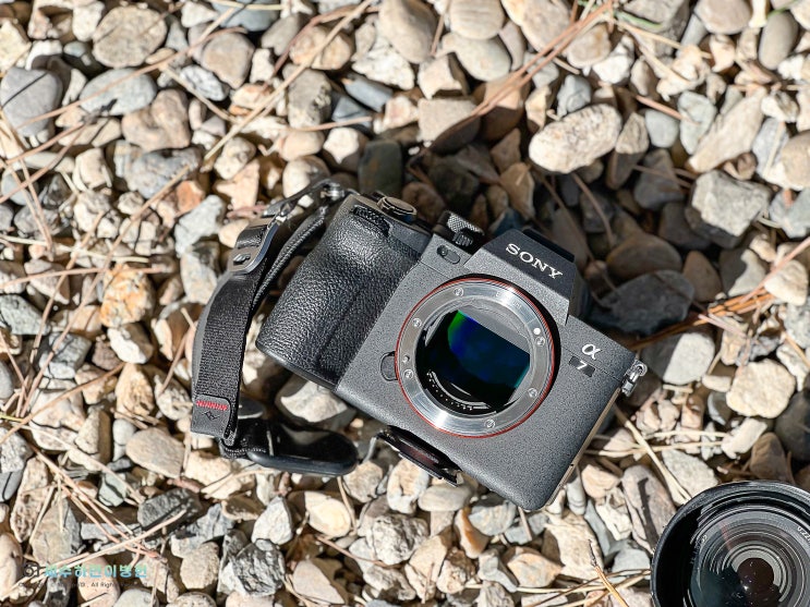 고퀄리티 브이로그 카메라 추천, 풀프레임 미러리스 소니 A7M4 : 네이버 블로그