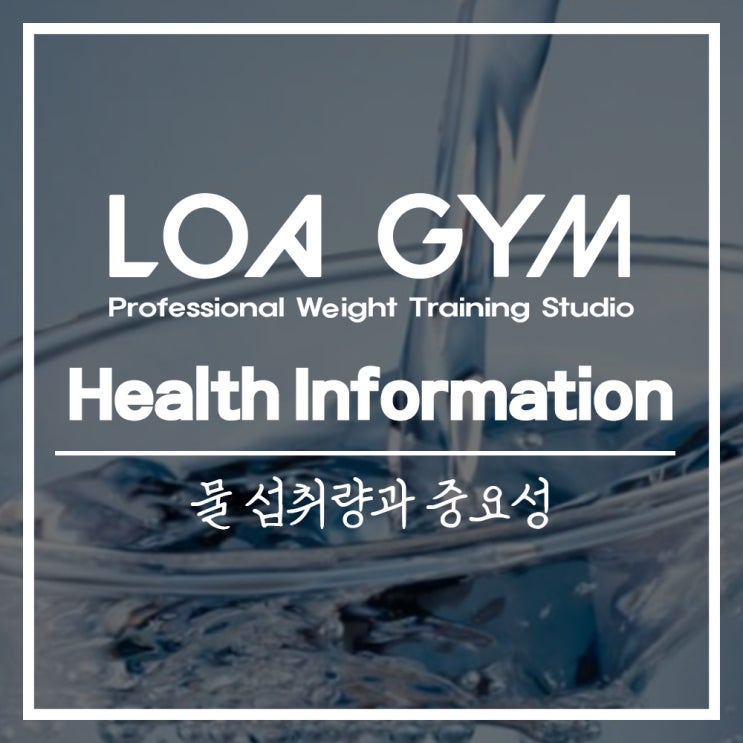 종암동pt 로아짐 다은쌤이 알려주는 물 섭취량과 중요성 네이버 블로그