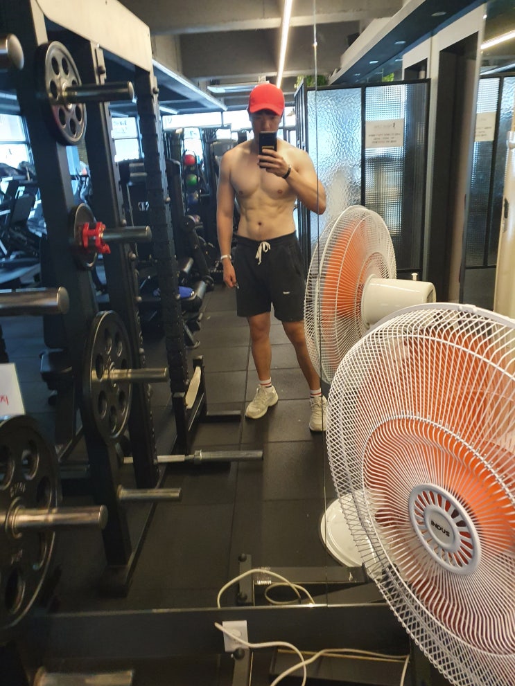 까치산역 Pt 다이어트를 시작하는 헬린이를 위한 헬스 용어 나도 우리 헬스장 인싸 뉴라인 피티 스튜디오 네이버 블로그