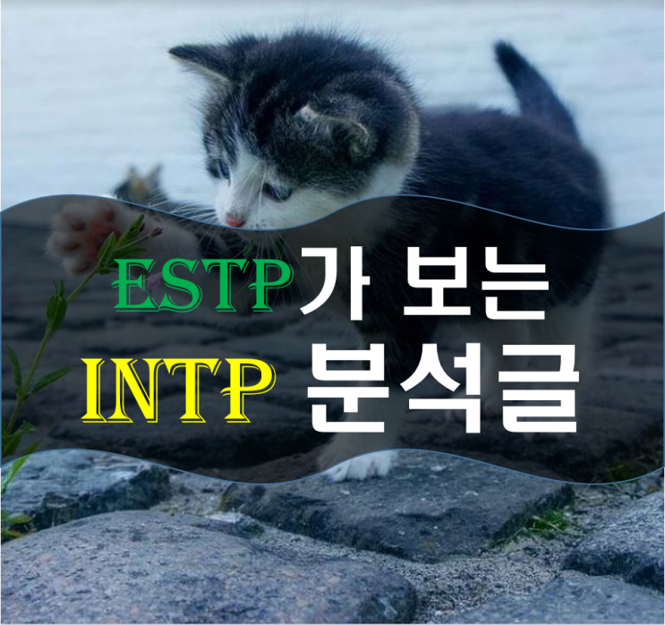 ESTP가 보는 INTP 분석글 INTP 특징 정리&심리상담 내용 인팁과 연애하는법 : 네이버 블로그