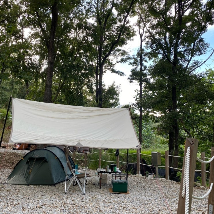 노르디스크 오프랜드 3 SI : 네이버 블로그