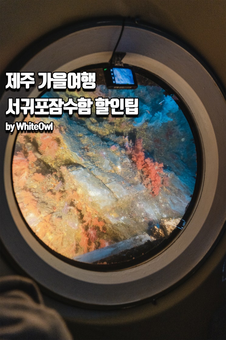 제주 가을 액티비티 추천 서귀포잠수함 할인 코드with Kkday 네이버 블로그