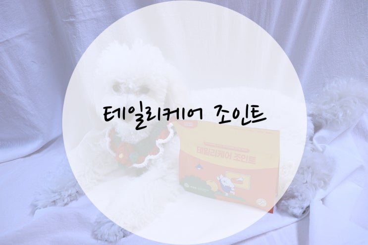 강아지관절영양제 테일리케어 조인트로 울 아이 관절 지켜주자 : 네이버 블로그