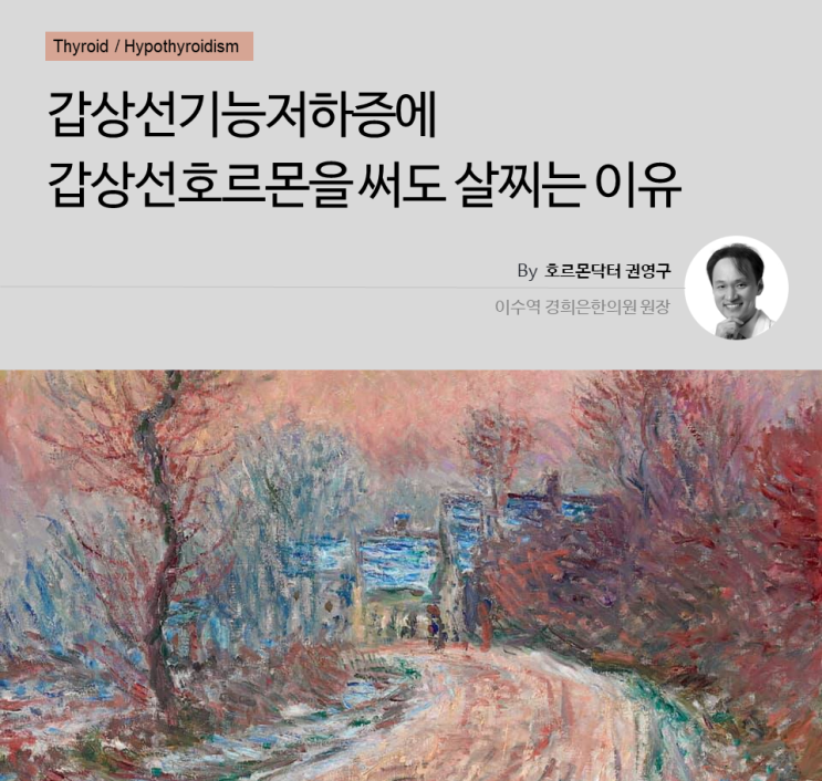 갑상선기능저하증 수치 증상에 갑상선호르몬 약을 써도 피곤하고 살찌는 이유 네이버 블로그