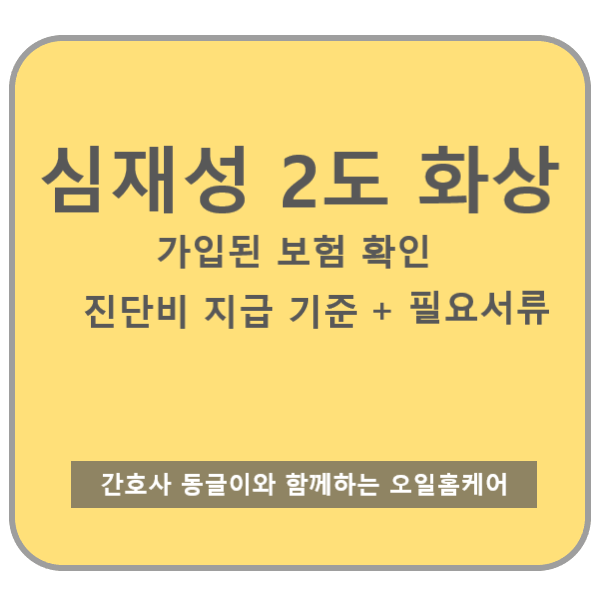 심재성 2도 화상 진단비 지급기준 실비 생명 보험 청구 서류 청구방법 네이버 블로그
