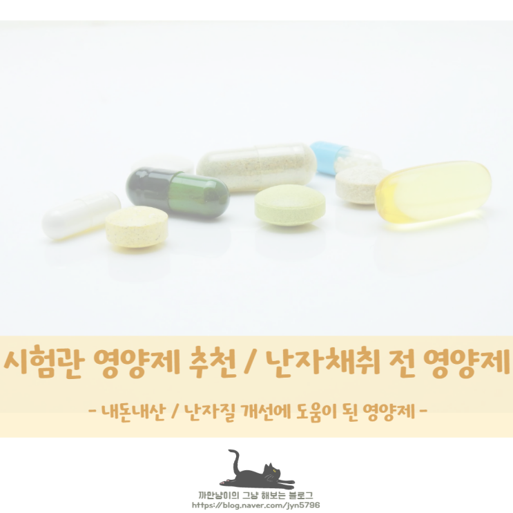 시험관 영양제성분위주 추천 난자채취 전 난자질 개선에 도움이 되는 영양제내돈내산 임신준비 영양제 네이버 블로그