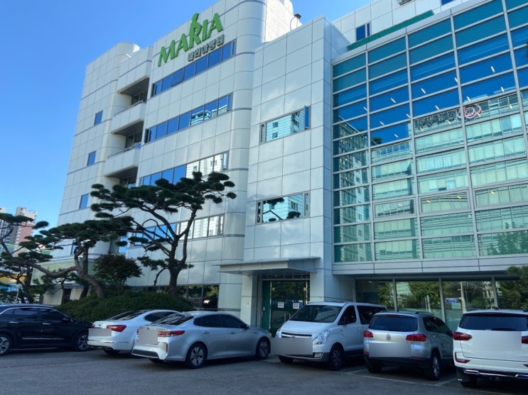 임신일기 신설 마리아 난임검사혈액검사 나팔관조영술 Amh수치 네이버 블로그