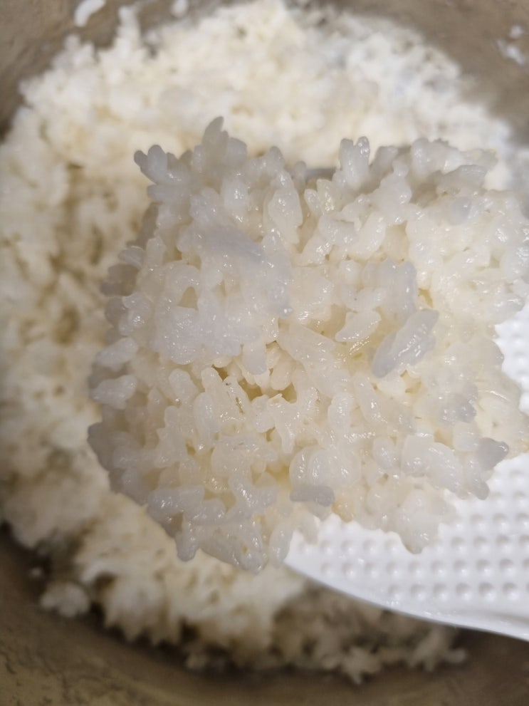 쌀밥 100g 칼로리 알고 먹어요 : 네이버 블로그