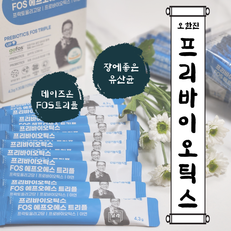 오한진프리바이오틱스 데이즈온 장에좋은유산균 섭취 후기 네이버 블로그