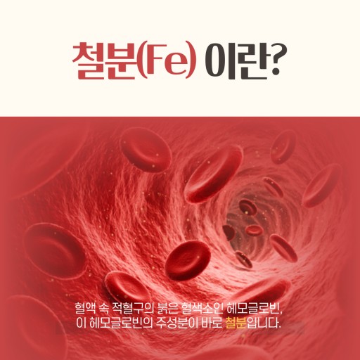 철분 부족 증상 10가지와 철분제 하루 권장량 복용법 네이버 블로그
