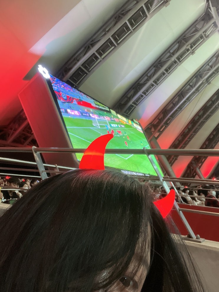 Kfa 축구국가대표팀 친선경기 카메룬전 서울월드컵경기장 3등석 관람 치킨꿀팁 네이버 블로그