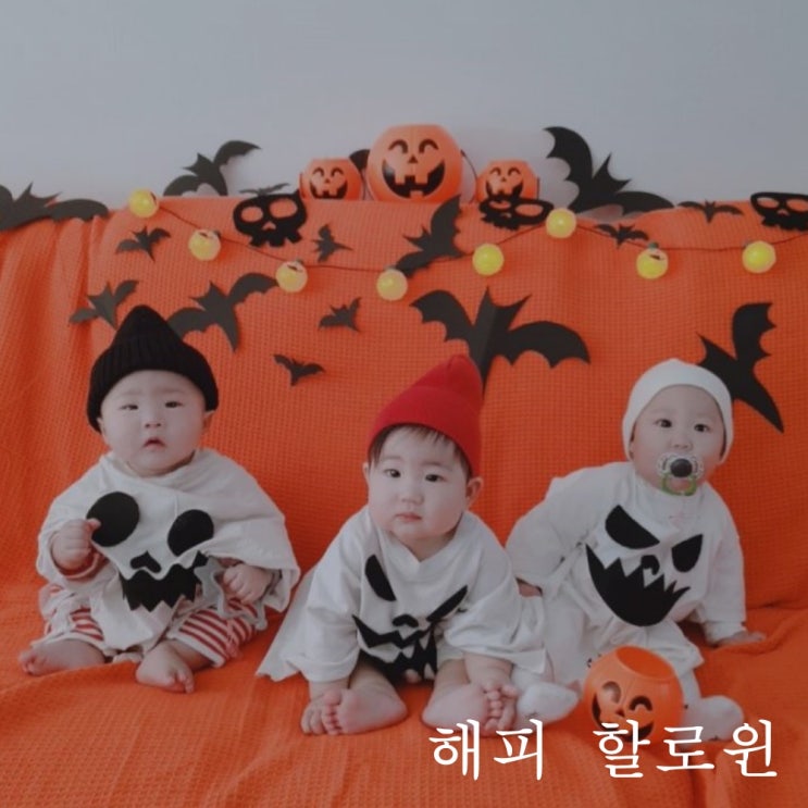 조동과 아기 할로윈 의상소품 만들기 할로윈 포토존 완성 네이버 블로그