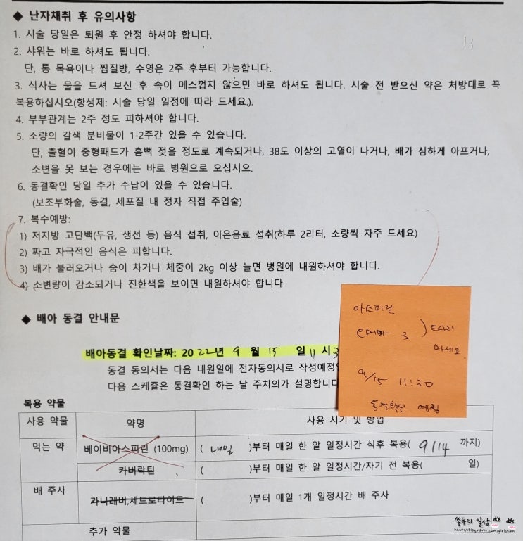 임신 준비 9 대구 차병원 난자 채취 후기 And 동결 배아 결과 네이버 블로그
