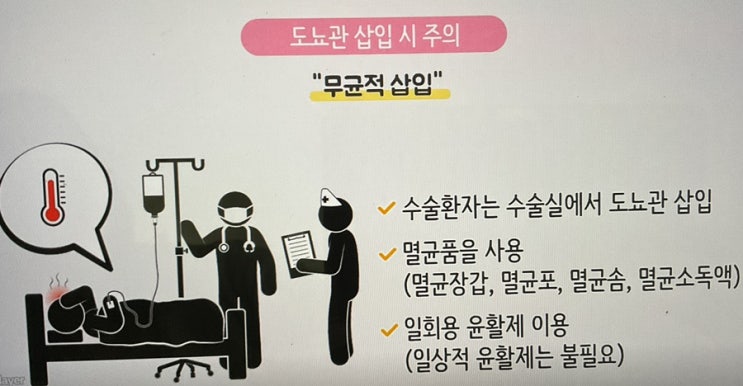 유치도뇨관(foley catheter) 삽입시 ,유지시 주의 : 네이버 블로그