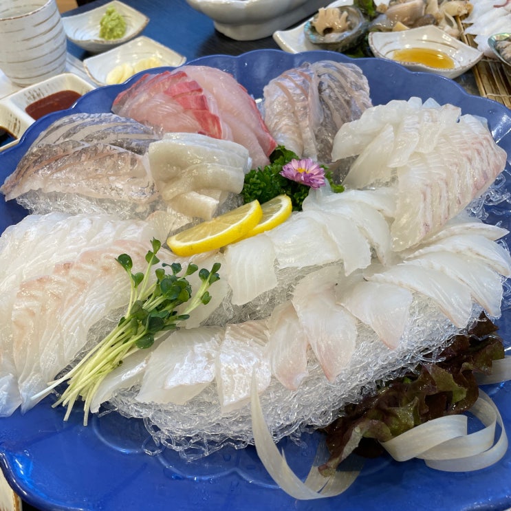 강릉 횟집 추천 뷰맛집 안목해송횟집에서 모듬회 네이버 블로그
