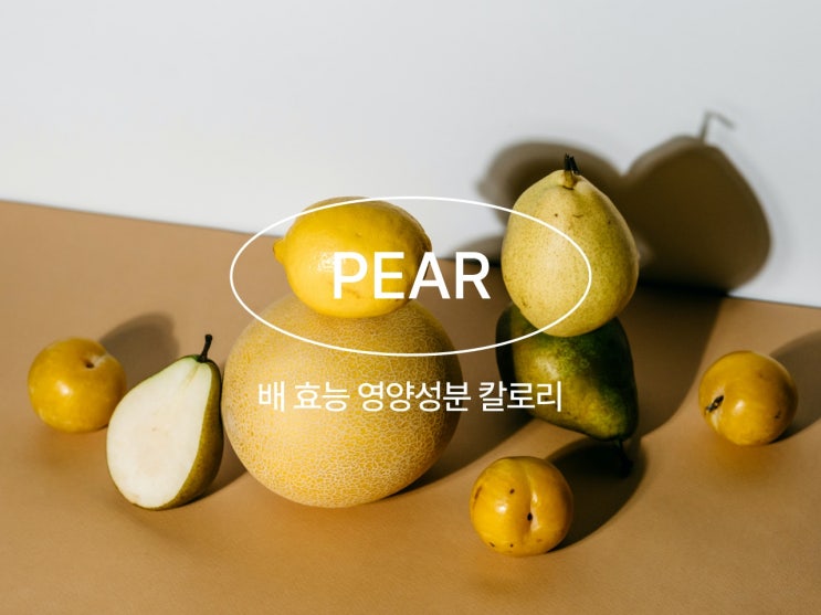 배 효능 배즙 효능 영양성분 1개 칼로리 부작용 네이버 블로그