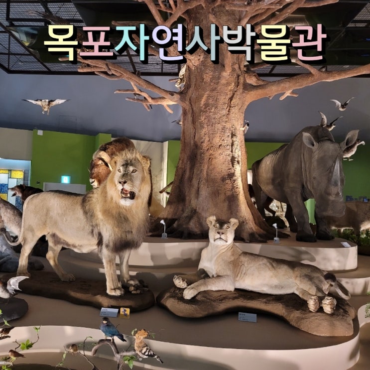 [목포여행지 추천] 아이들과 가볼만한곳 목포 자연사박물관 네이버 블로그
