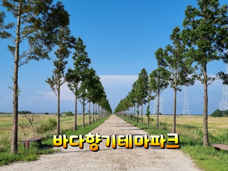 경기도 안산 가볼만한곳 대부바다향기테마파크 데이트코스 아이와가볼만한곳 네이버 블로그