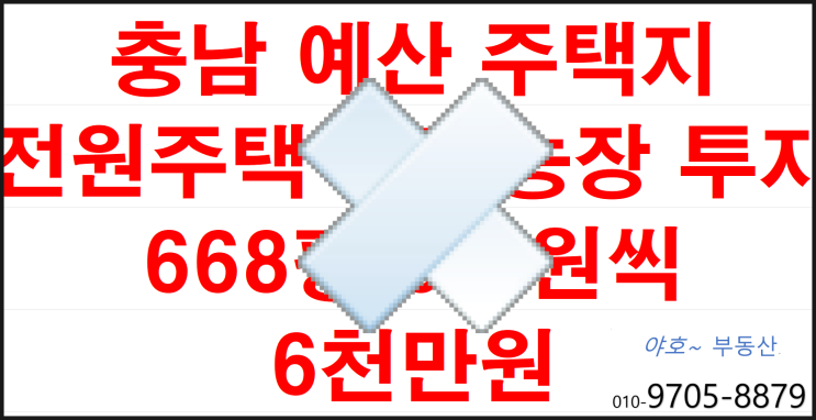 충남 예산 주택용 밭전 668평 9만원씩 총 6천만원 주말농장용 농막용 농지원부용 부동산 토지 투자 땅 매매 충남 예산군 대술면