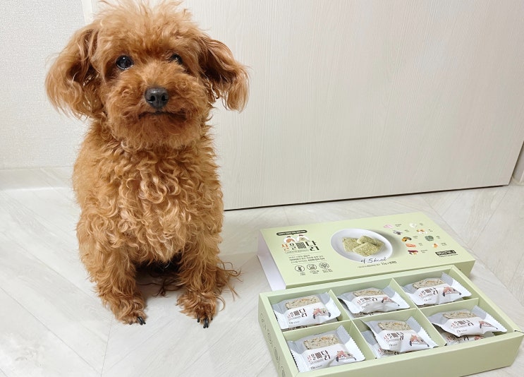 높은 기호성 강아지 건강식, 펫리카나 고단백/저지방 동결건조 사료! : 네이버 블로그