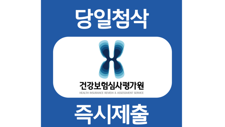 건강보험심사평가원 체험형 인턴 200명 채용 자기소개서 항목 자소서 문항 작성방법 첨삭받기 네이버 블로그