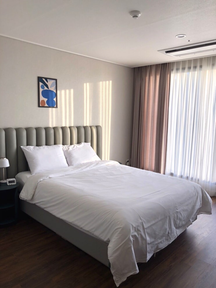 제주여행 제주도 서귀포 10만원대 가성비 오션뷰 숙소 호텔 서귀피안 네이버 블로그