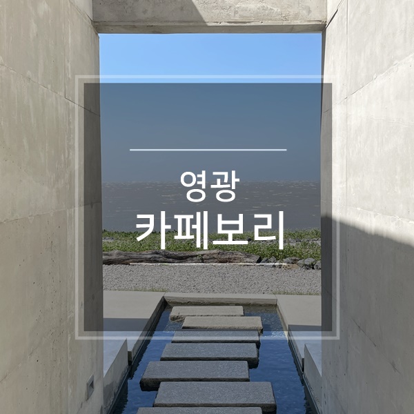 영광 백수해안도로 카페 보리 서해바다 오션뷰 드라이브코스 가볼만한곳 넓은 메밀밭 꽃구경이 기다리는 전남 여행지 추천 네이버 블로그