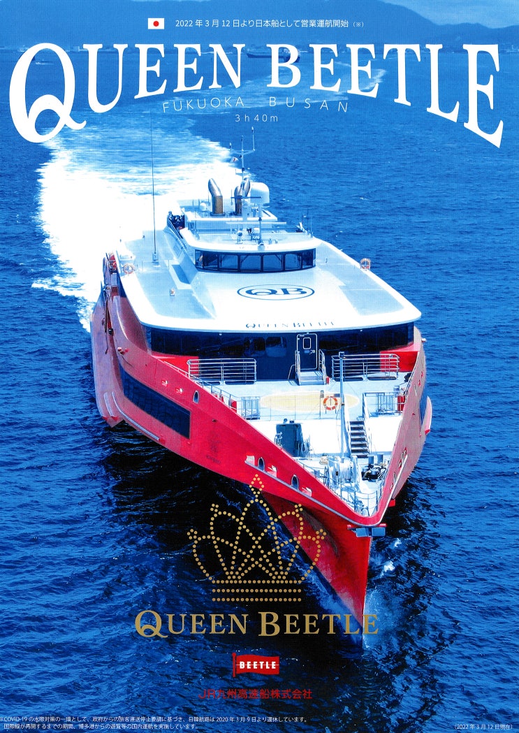 QUEEN BEETLE / 퀸 비틀 : 네이버 블로그