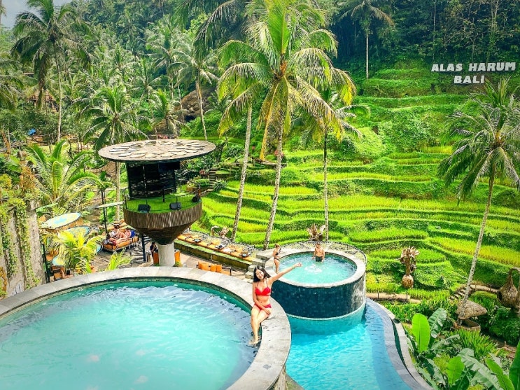 발리/우붓 핫플 Cretya Ubud 후기 : 네이버 블로그